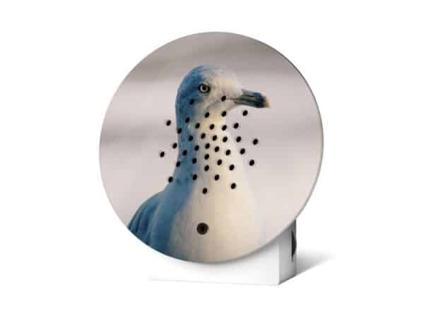 Oceanbox – limited edition 2024 - D-Sire